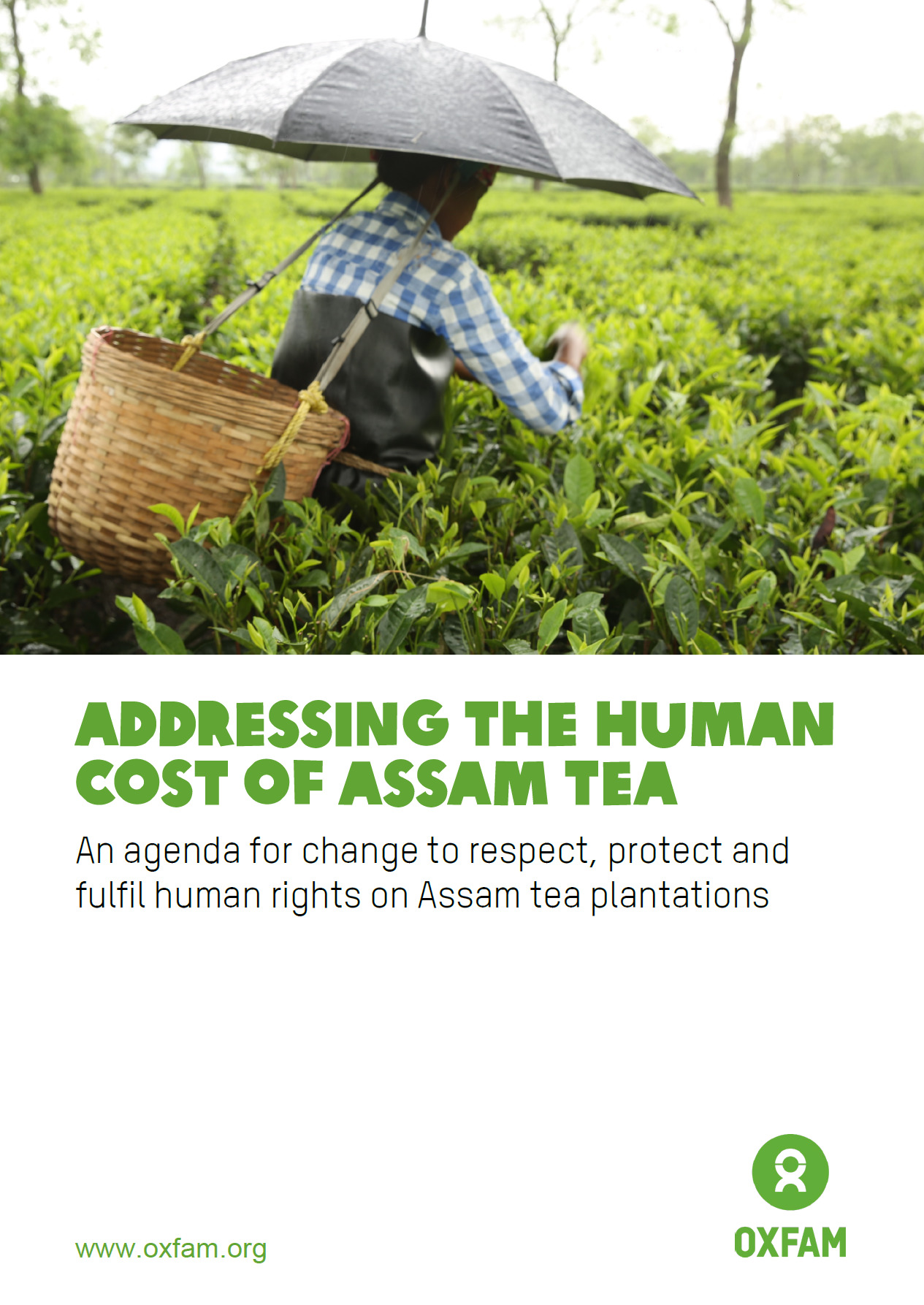 Adressing the Human Cost of Assam Tea ・ BASIC